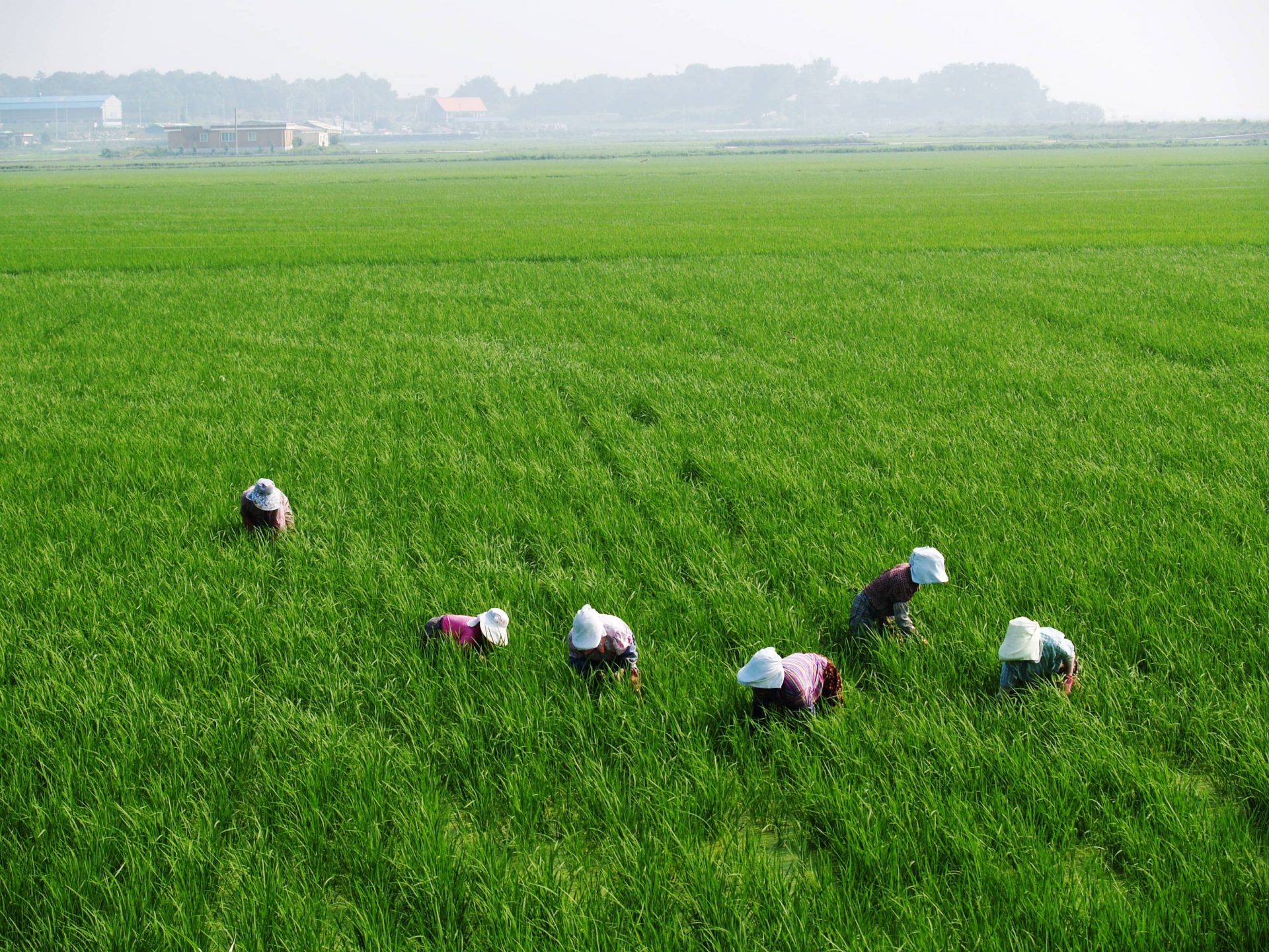 Home - Agricultural Biotechnology | Agrochemical Crop Protection ...